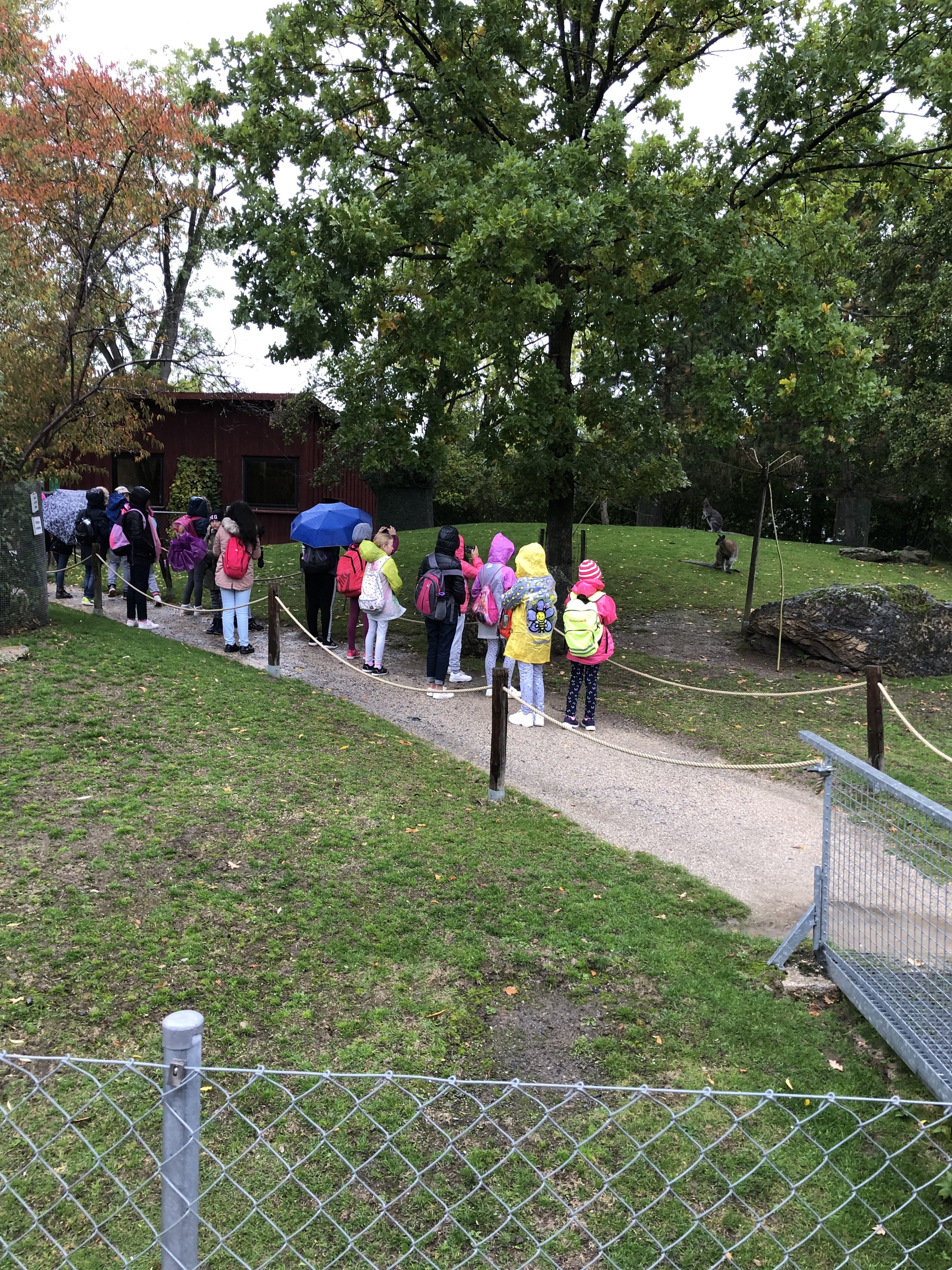 5 GTKa unterwegs im Zoo/Porzellanikon – Mittelschule Waldsassen
